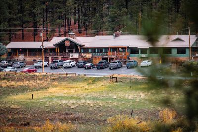 Molly Butler Lodge - Historic Arizona Mountain Resort